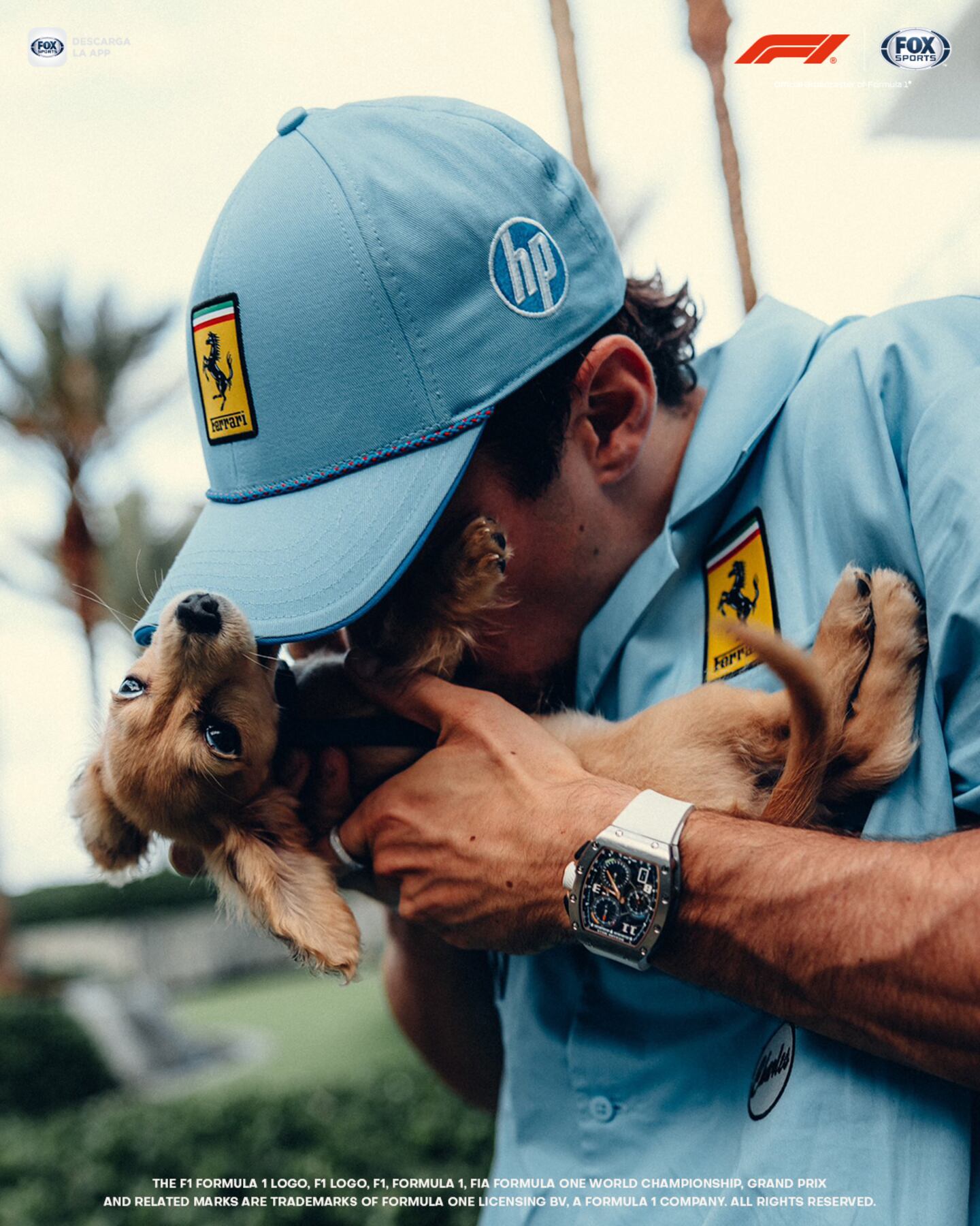 ‘Rápido, genial y MUY VALIENTE’: ¡Charles presume a su perrito Leo ...