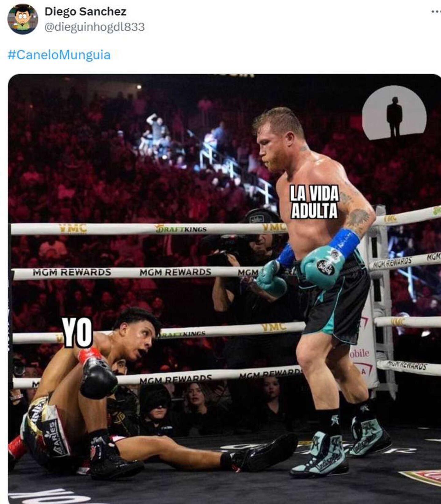 MEMES del Canelo vs Munguía se enojan por pelea sin sangre ni nocaut ...