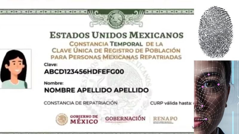 Así puedes descargar gratis tu CURP y mantenerla actualizada – Fox Sports