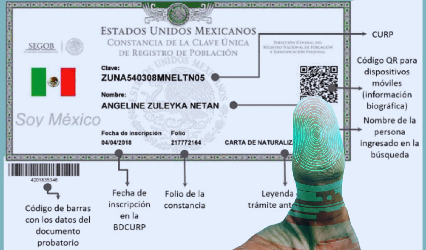 CURP Certificado 2024: ¿Cómo sacarlo en línea gratis y hay fecha límite para obtenerlo? – Fox Sports