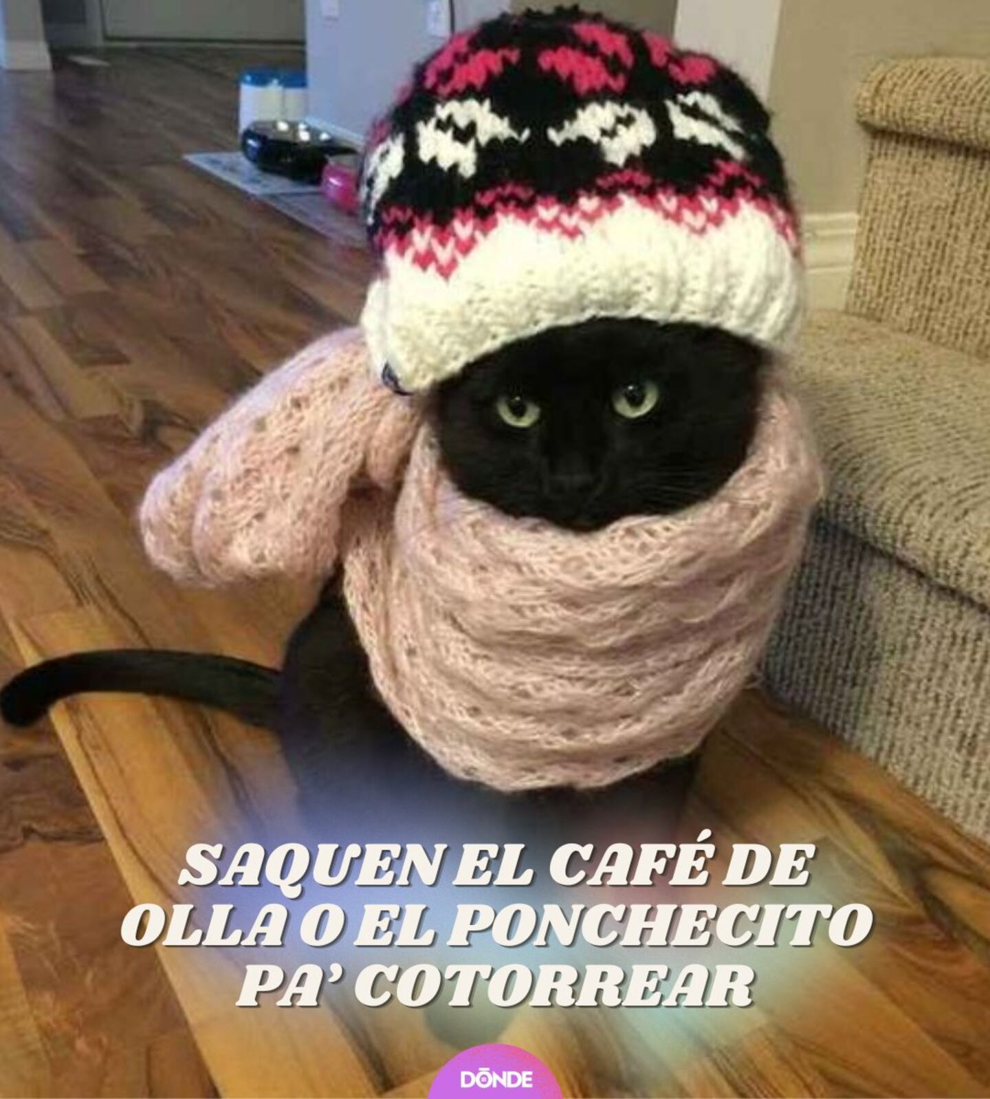 Frente Frío 16 desata MEMES por las heladas temperaturas en México ...